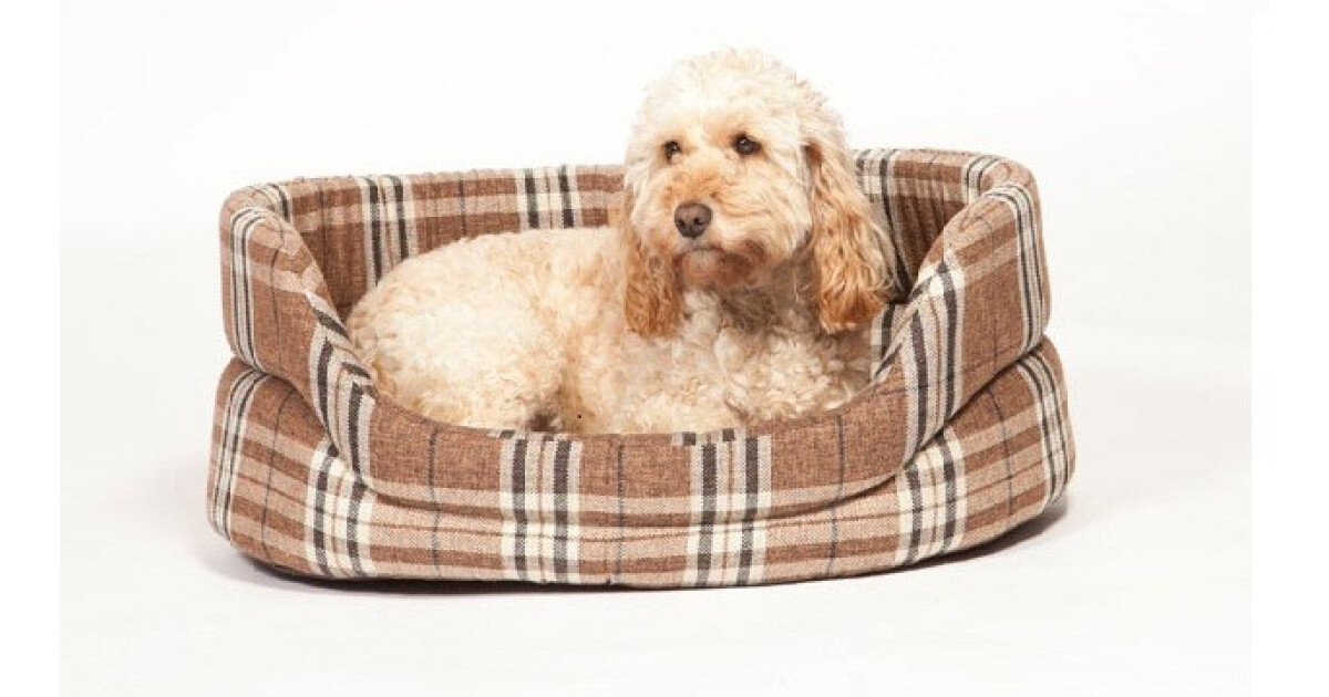 Peti Reunuksella (Slumber) 101 cm » Vaasan Eläinkeskus